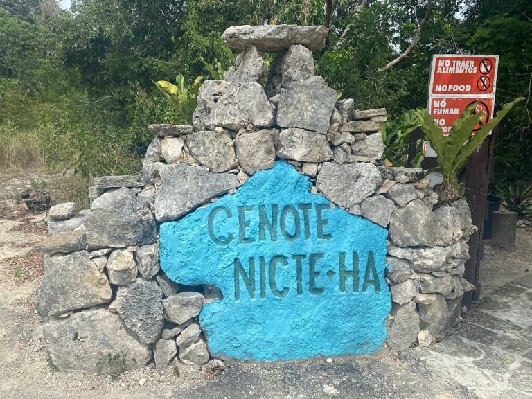 Cenote Nicte Ha – Cenotes Of Mexico